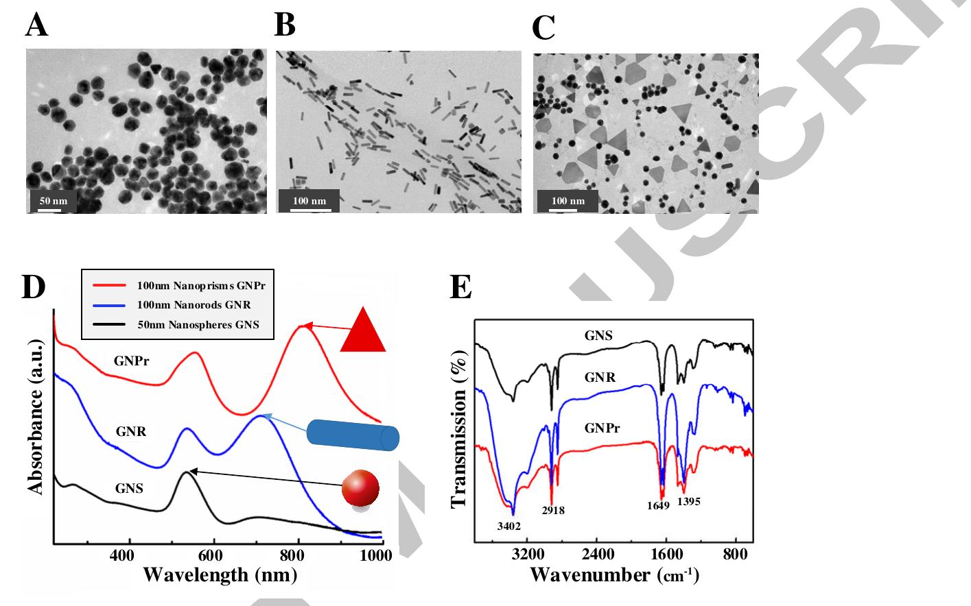 Uv-vis absorption spectra of gold nanoparticles were studied
