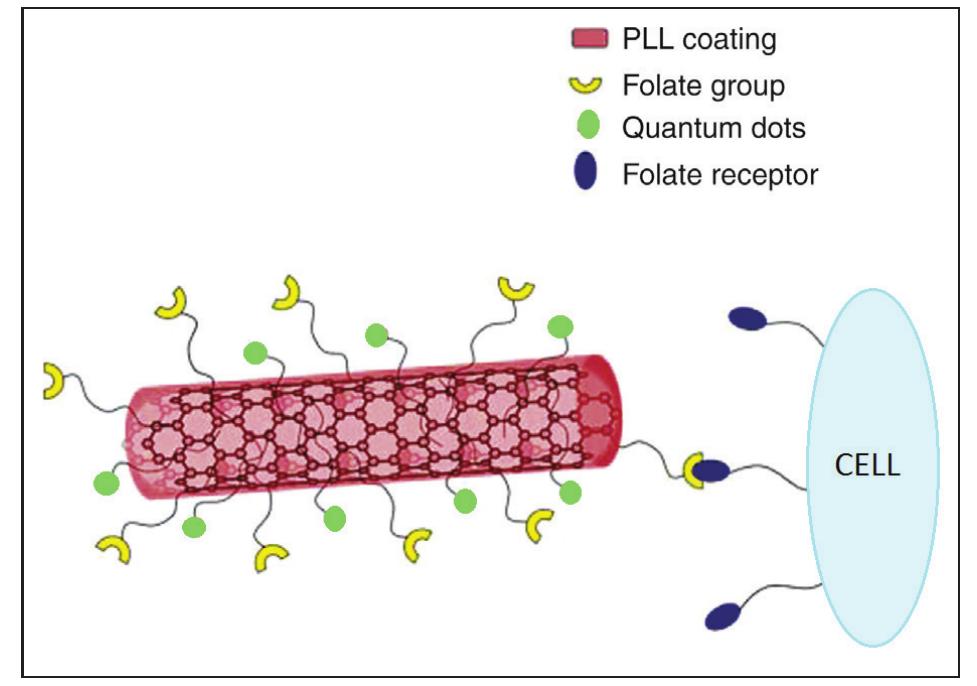 Schematic representation of active drug delivery and
