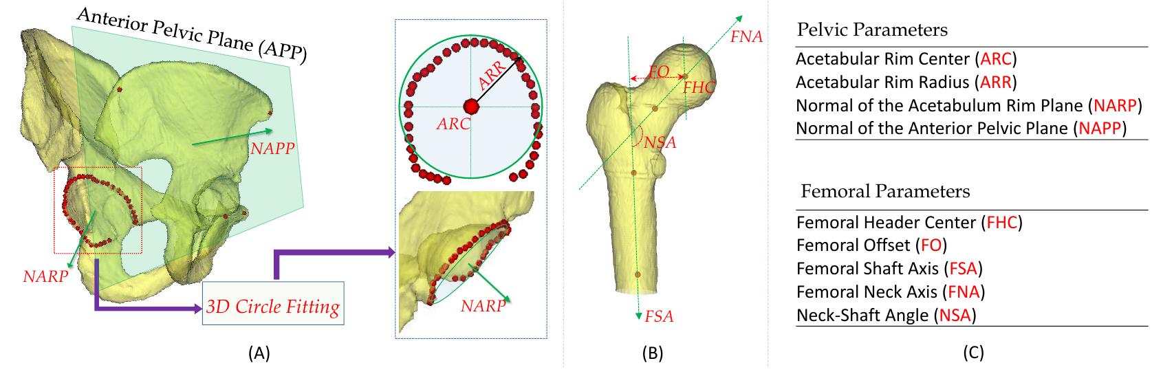 A schematic view of the set of landmarks, shown as red