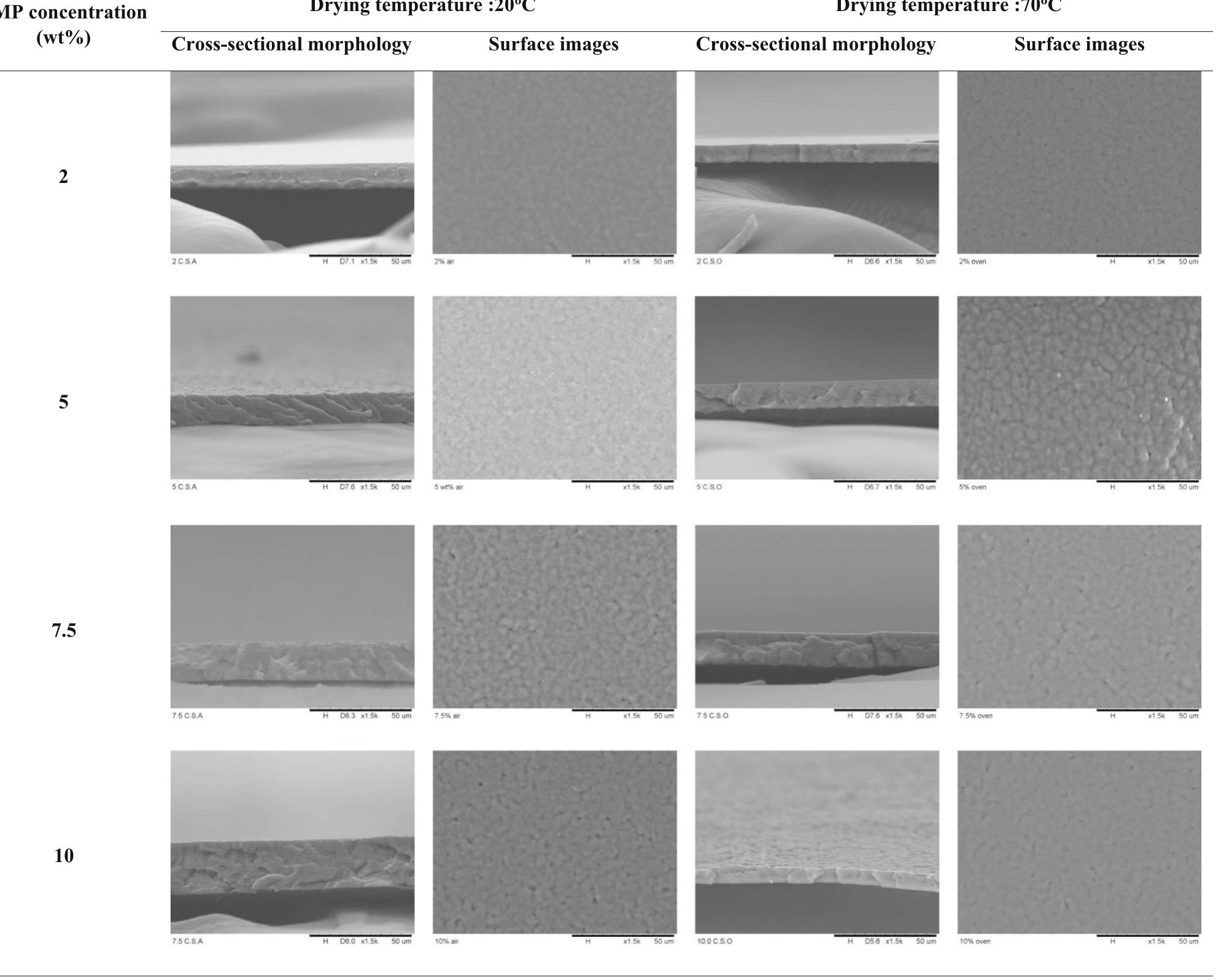 Cross-sectional sem micrograph and surface images of dense