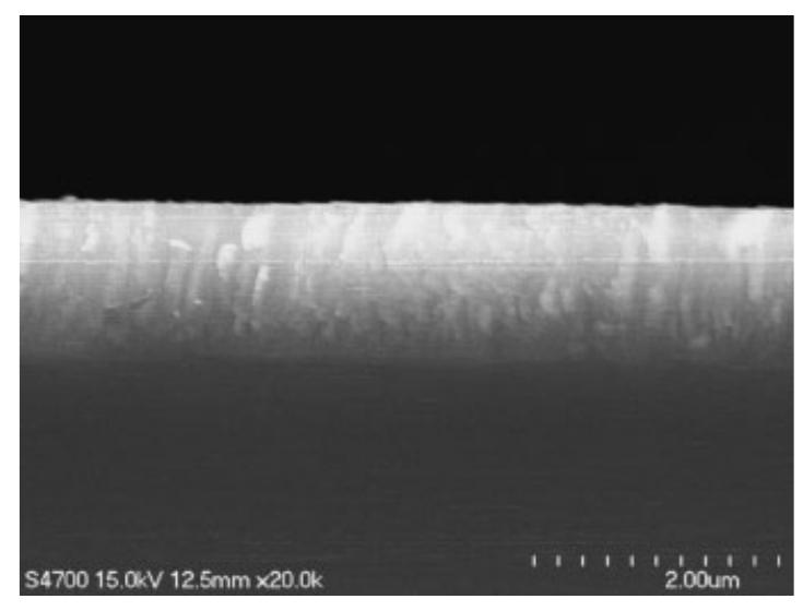 Sem cross section of the ain thin films.