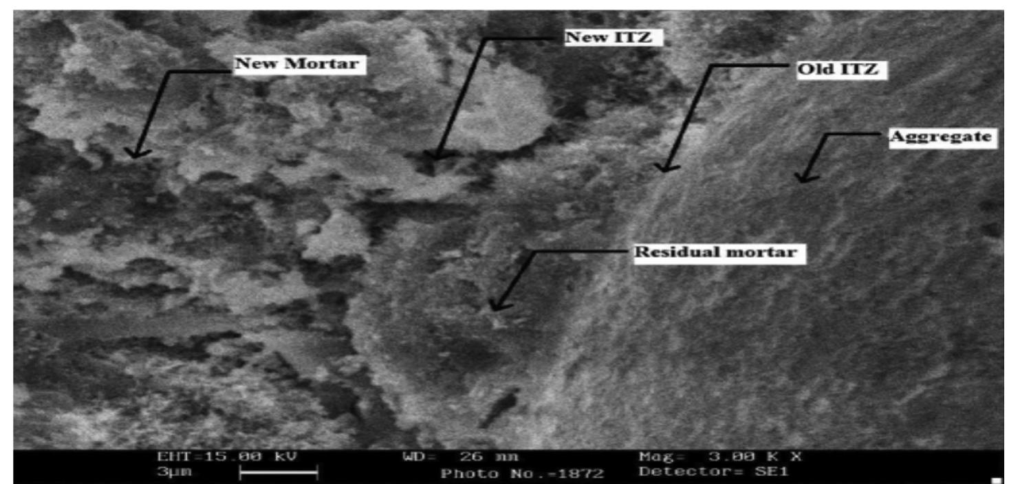 Scanning electron microscope (sem) image showing the