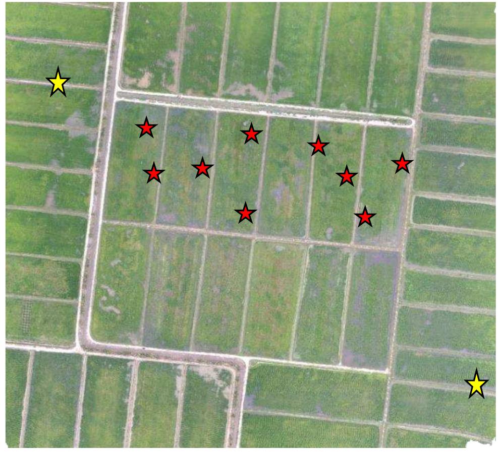 Location reference for uav image sampling spad maps and gai