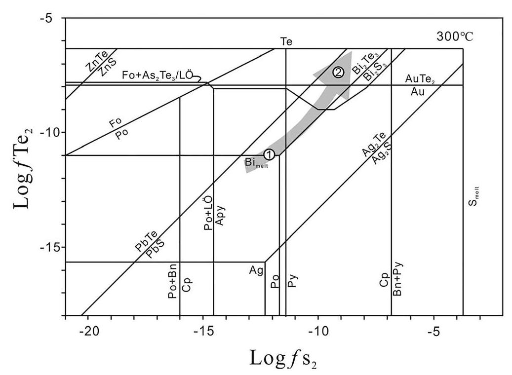 Log fte,-log fs2 phase diagram, showing equilibria between