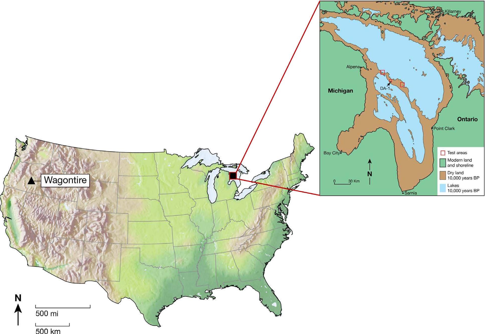 Gary Feinman - Field Museum