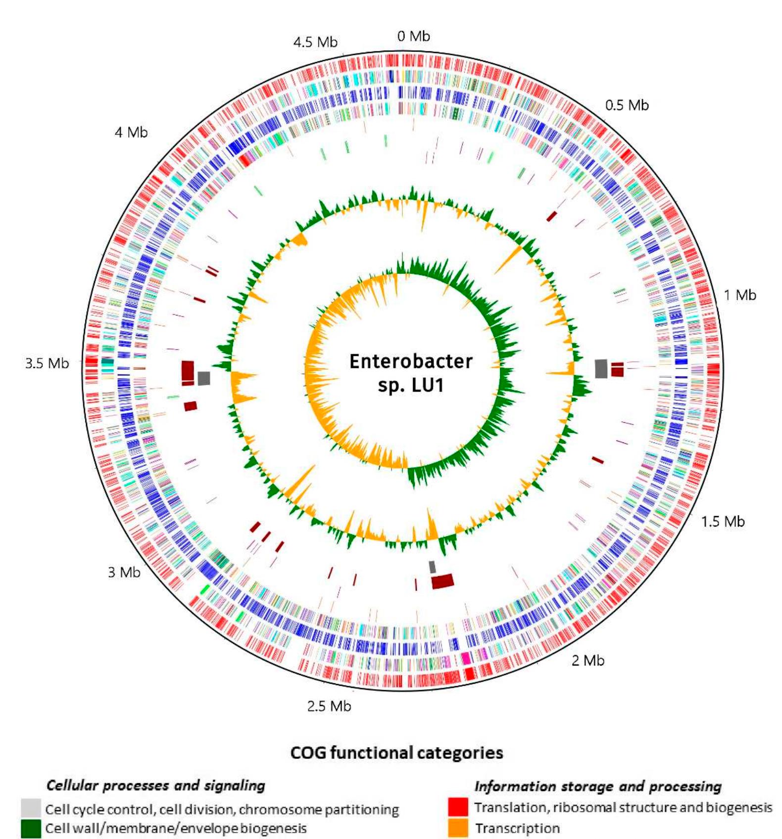 Circular map of enterobacter sp. lu1 genome. from the outer