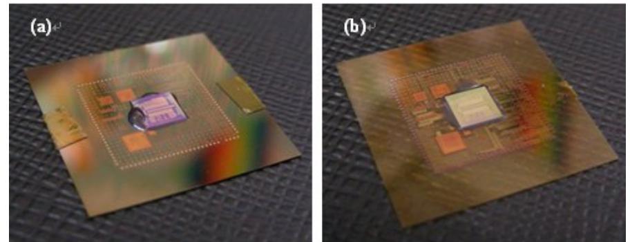 (a) si interposer module and (b) glass interposer module.