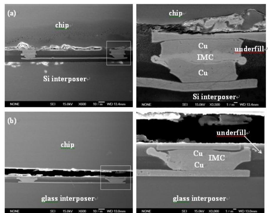 Cross-sectioned microstructure of micro joints within (a) si
