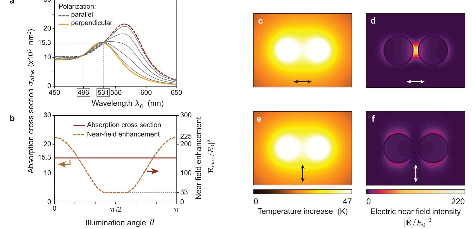 (a) absorption cross section of a dimer structure composed