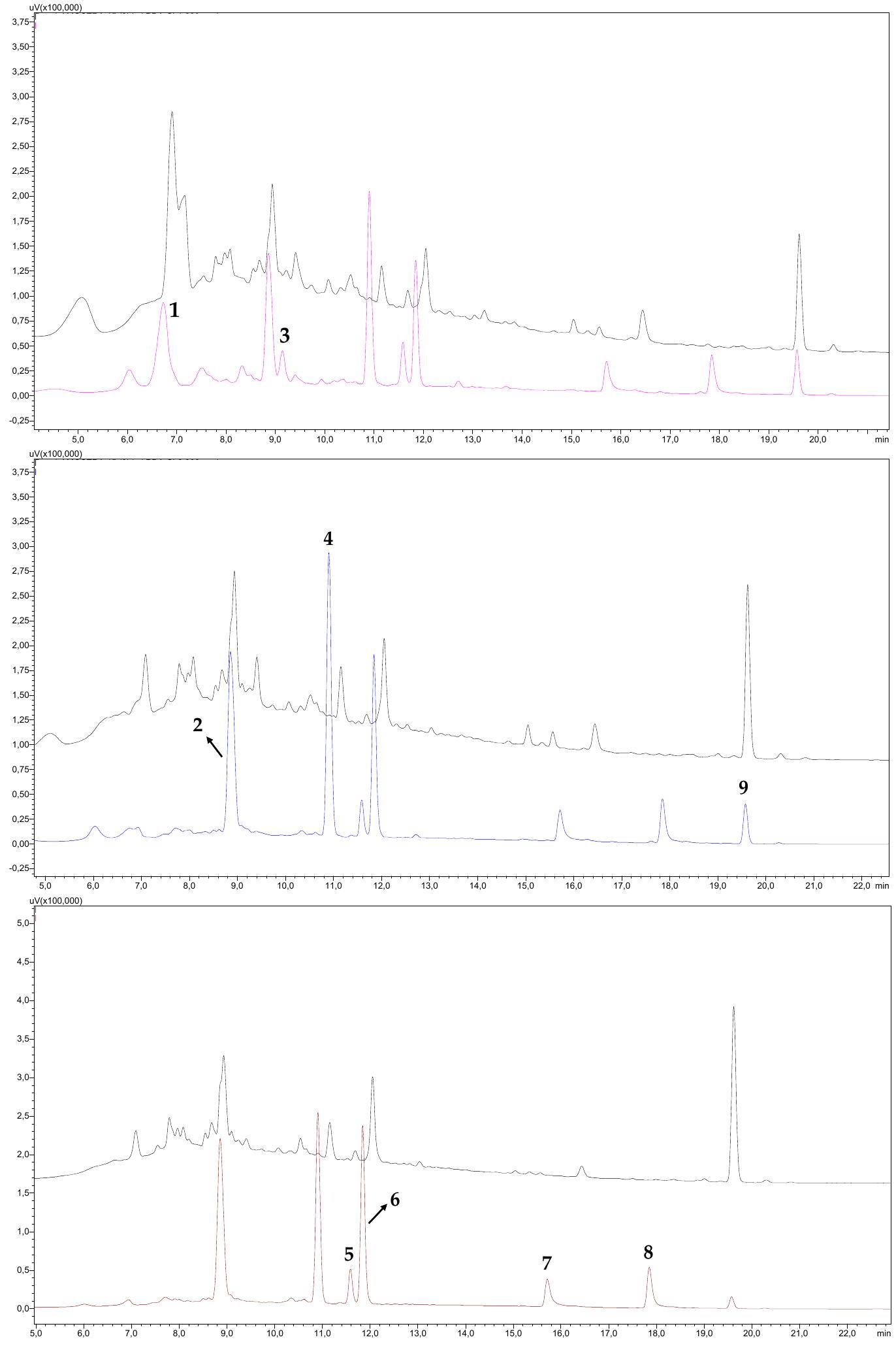 Chromatogram of the selectivity test, obtained by hplc-dad,