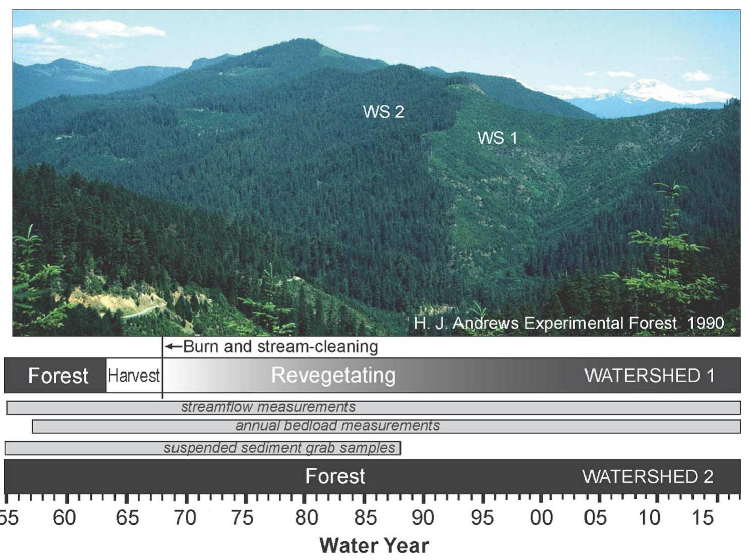 Timeline of forest treatment and recovery and data