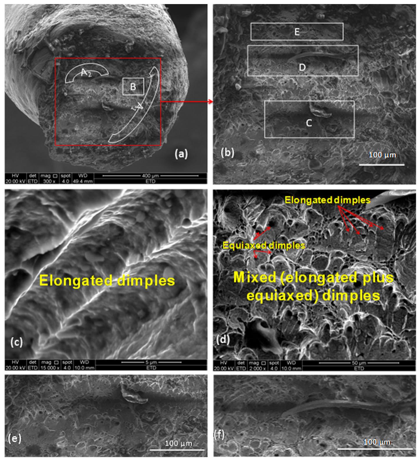 Scanning electron microscopy figure 9 shows different shapes
