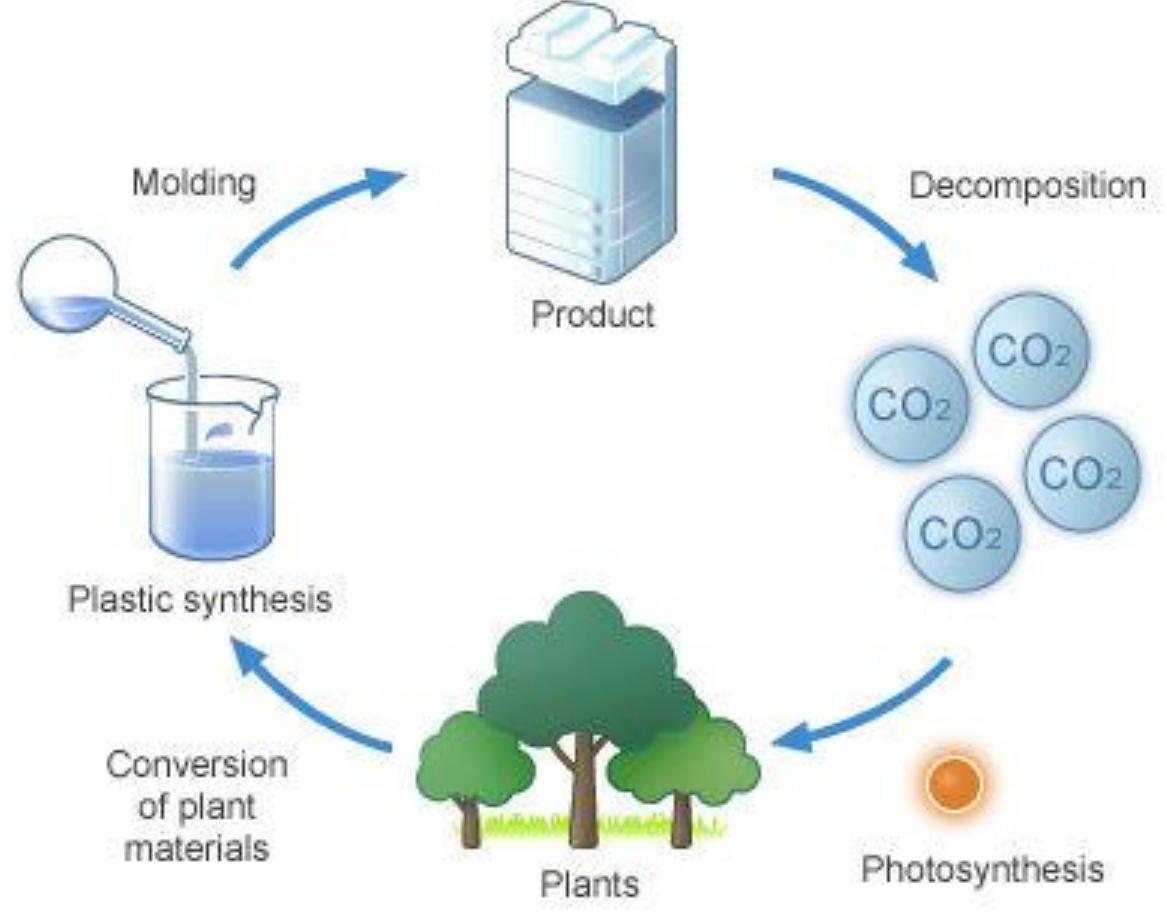 Bioreactor was made with two inlets for plastics and the