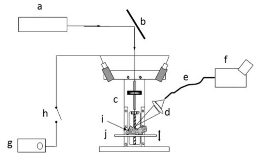 |. schematic diagram of the libs system with the device for