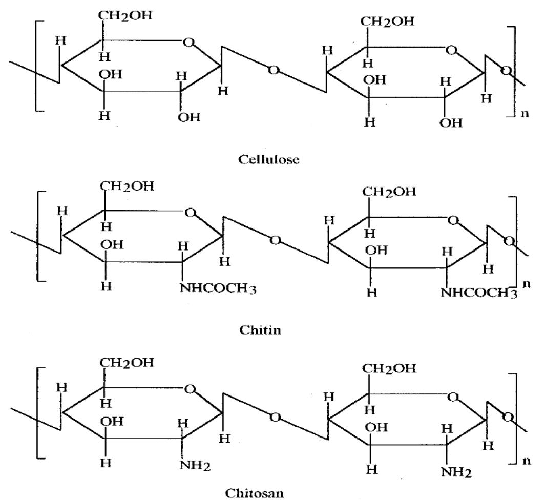 Chemical structures of cellulose, chitin and chitosan