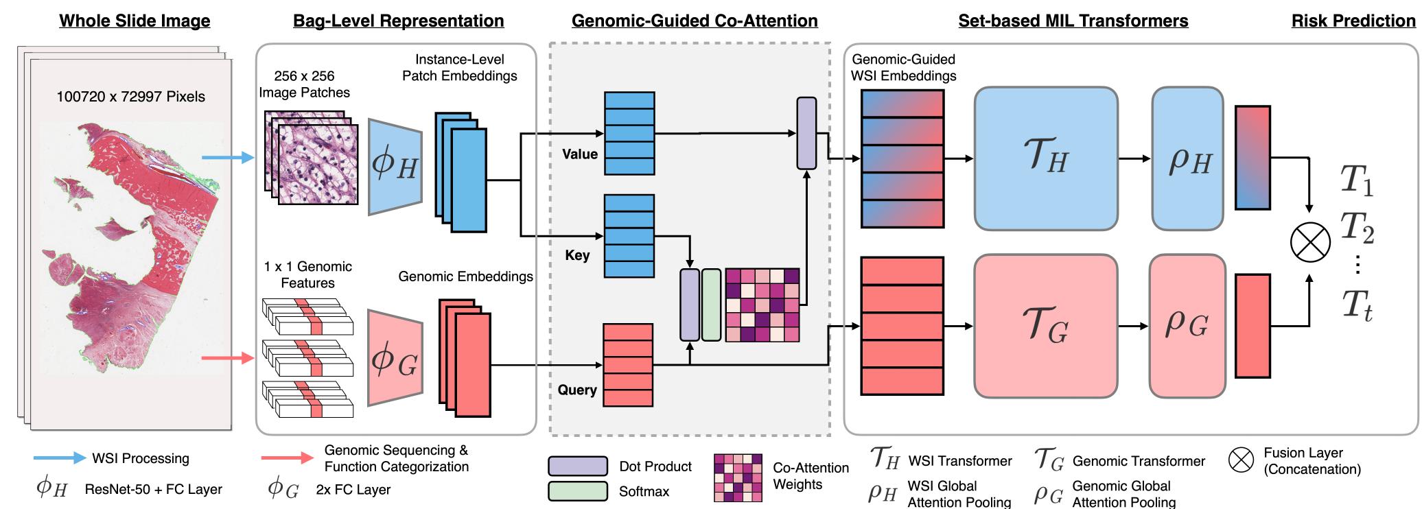 Overview of the multimodal co-attention transformer (mcat)