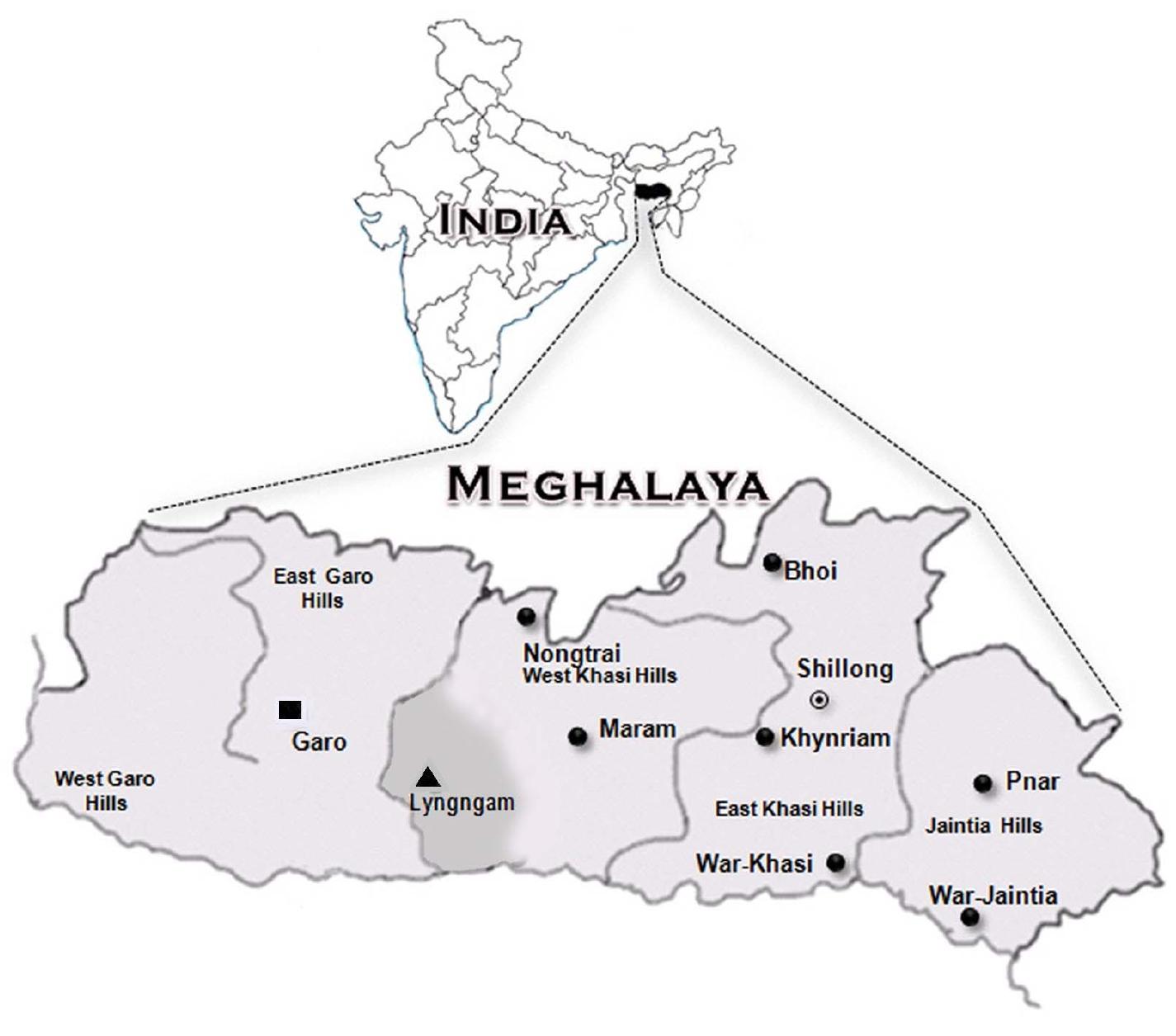 Schematic diagram depicting essential features of indian