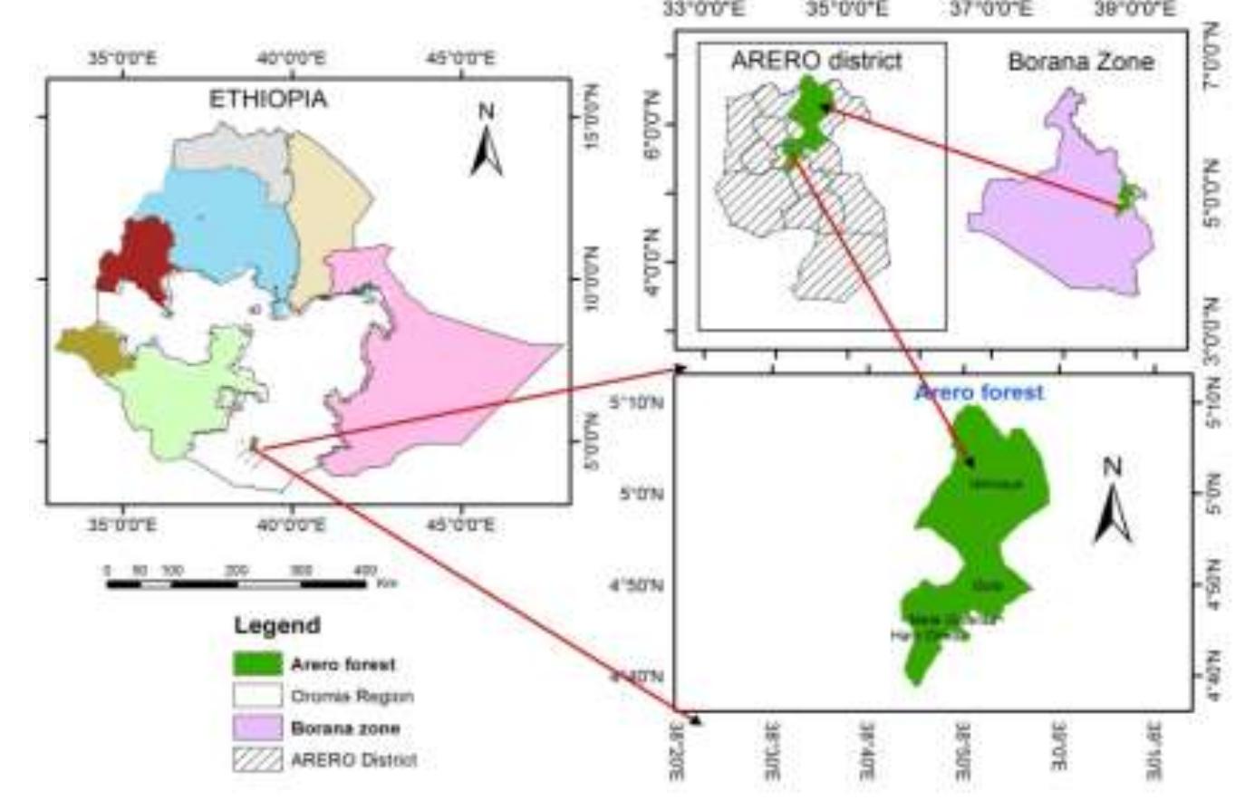 Figure 1 - from Assessment of forest management practices
