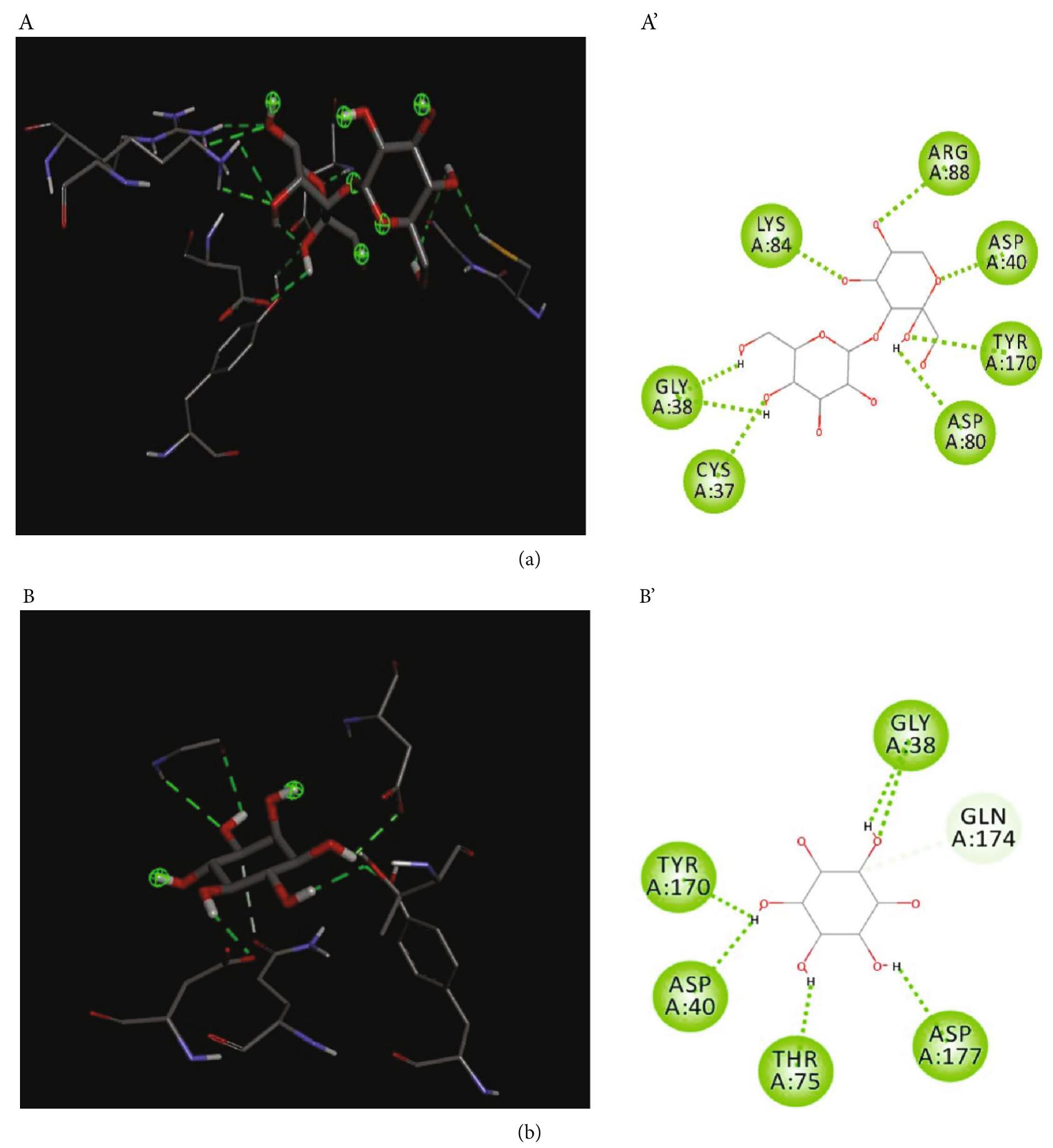 Figure 1 - from Antimicrobial Potential of Pithecellobium