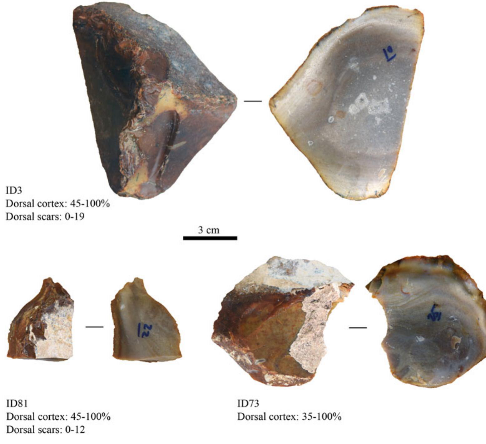 Figure 9 - from Replicability in Lithic Analysis