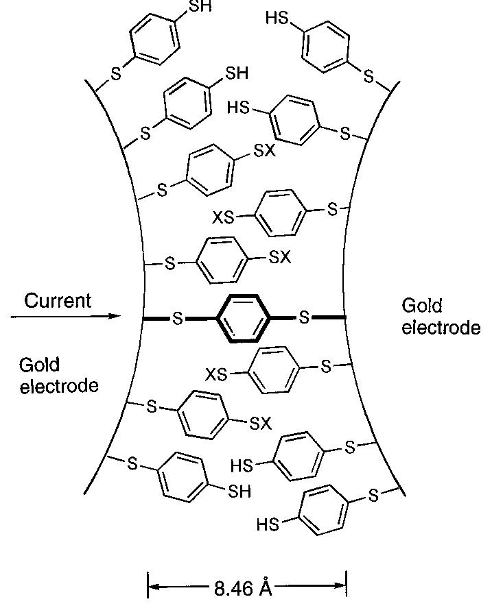 A schematic of a benzene-1,4-dithiolate sam between proximal