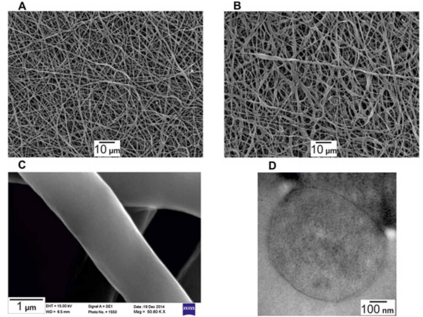 Electron microscopy of electrospun 3d matrices: (a) sem of