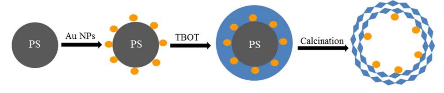 Schematic illustration of steps involved in the synthesis of