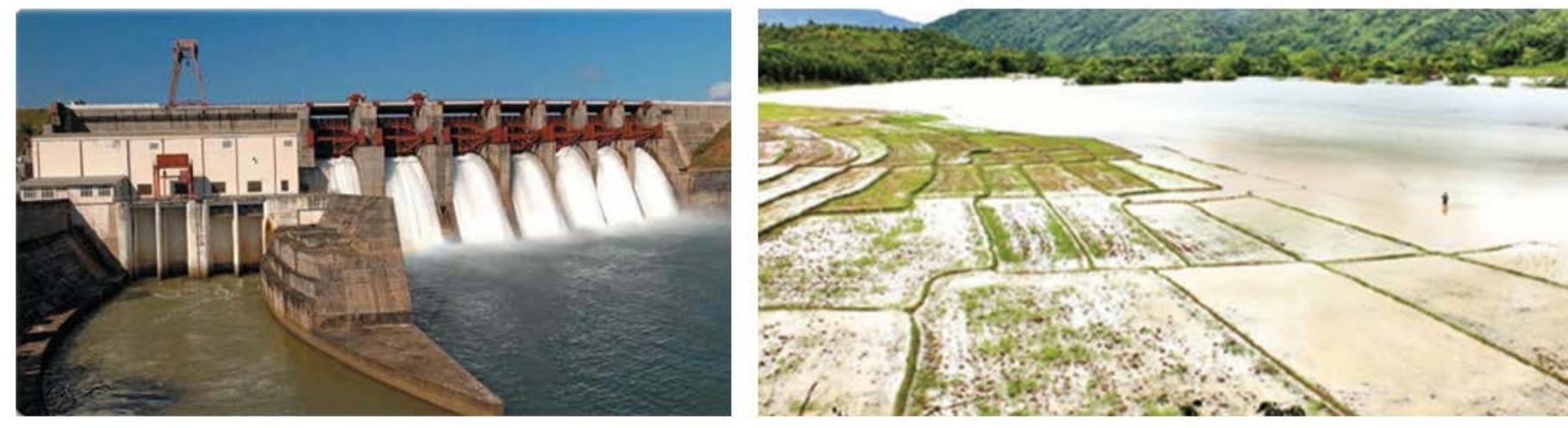 Overflowing from spill gates and flooding of paddy fields