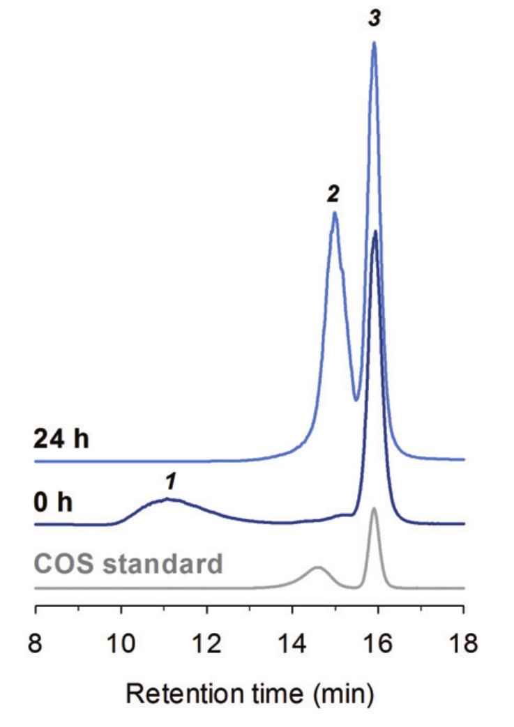 Sec-hplc analysis of chitosan hydrolysis by neutrase 0.8l at
