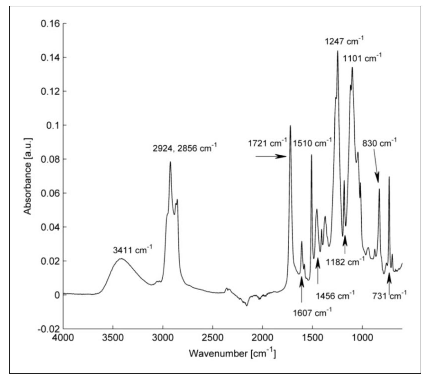 Ft-ir spectra of acetone recycled seven times (exp. 8).
