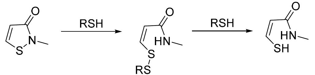 Reaction pathway for the interaction of isothiazolinones and