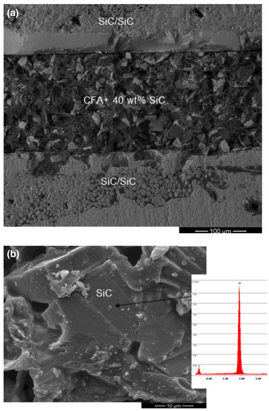 (a) cross-section and (b) fracture surface of sic/sic joined