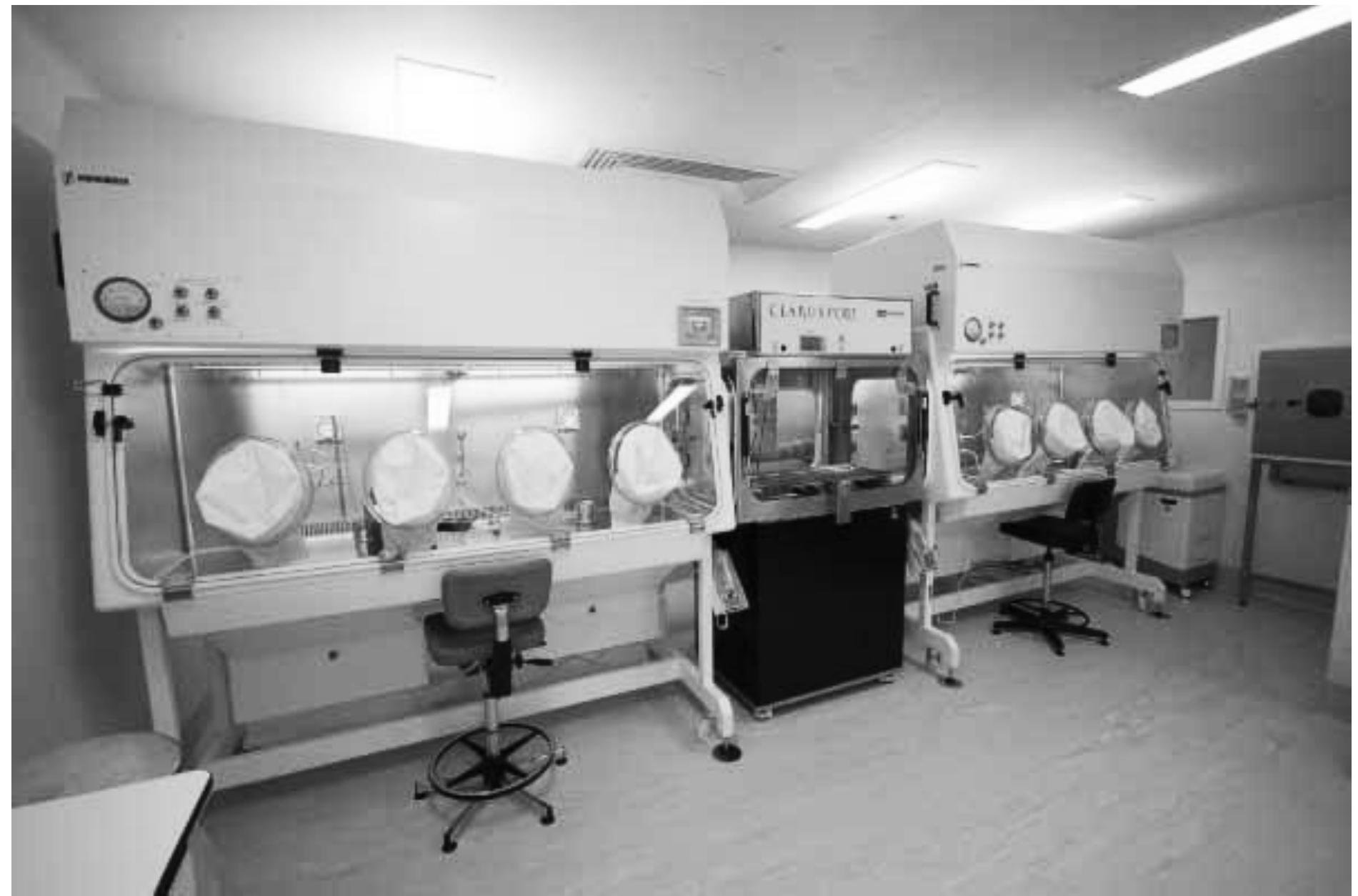 The photograph (figure 2) below shows the general isolator