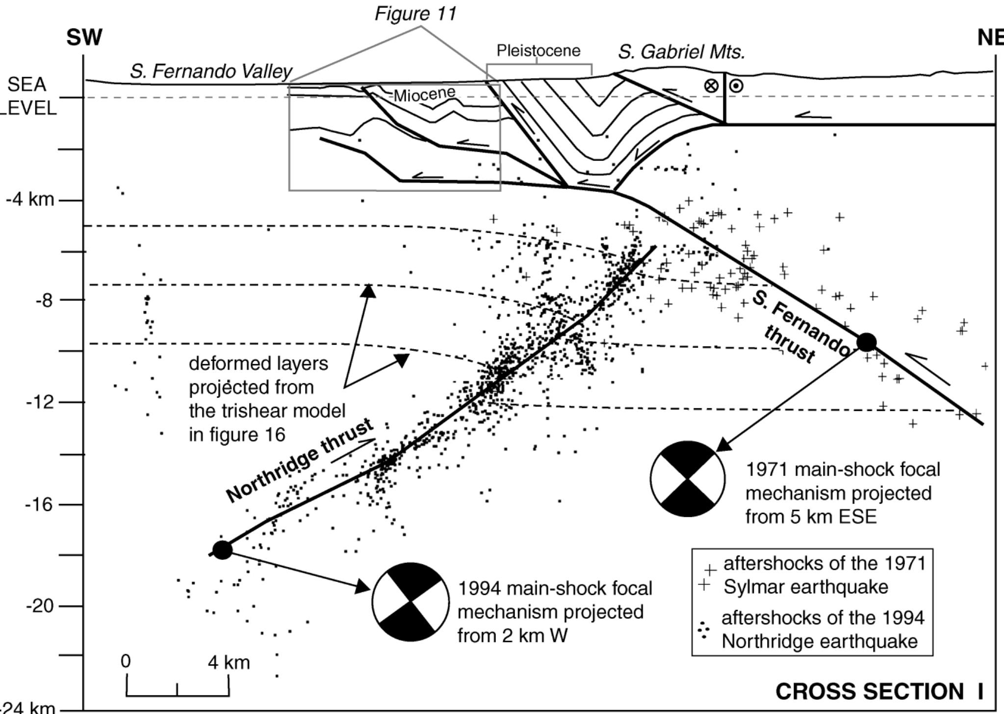 Figure 10 - from Three-dimensional imaging of active