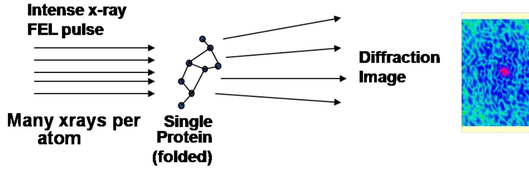2 x-ray diffraction of a single protein molecule [5]