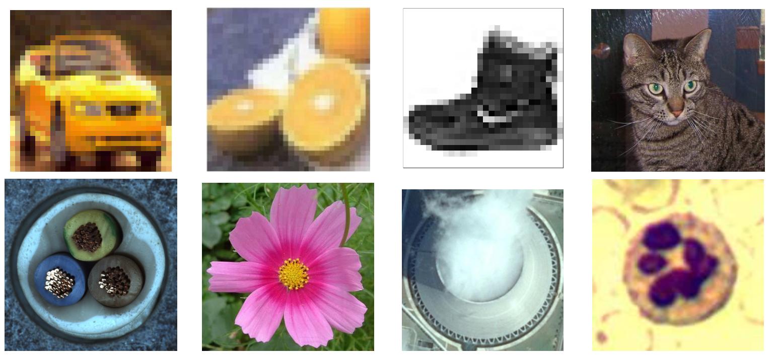 Representative images of the different datasets, from the