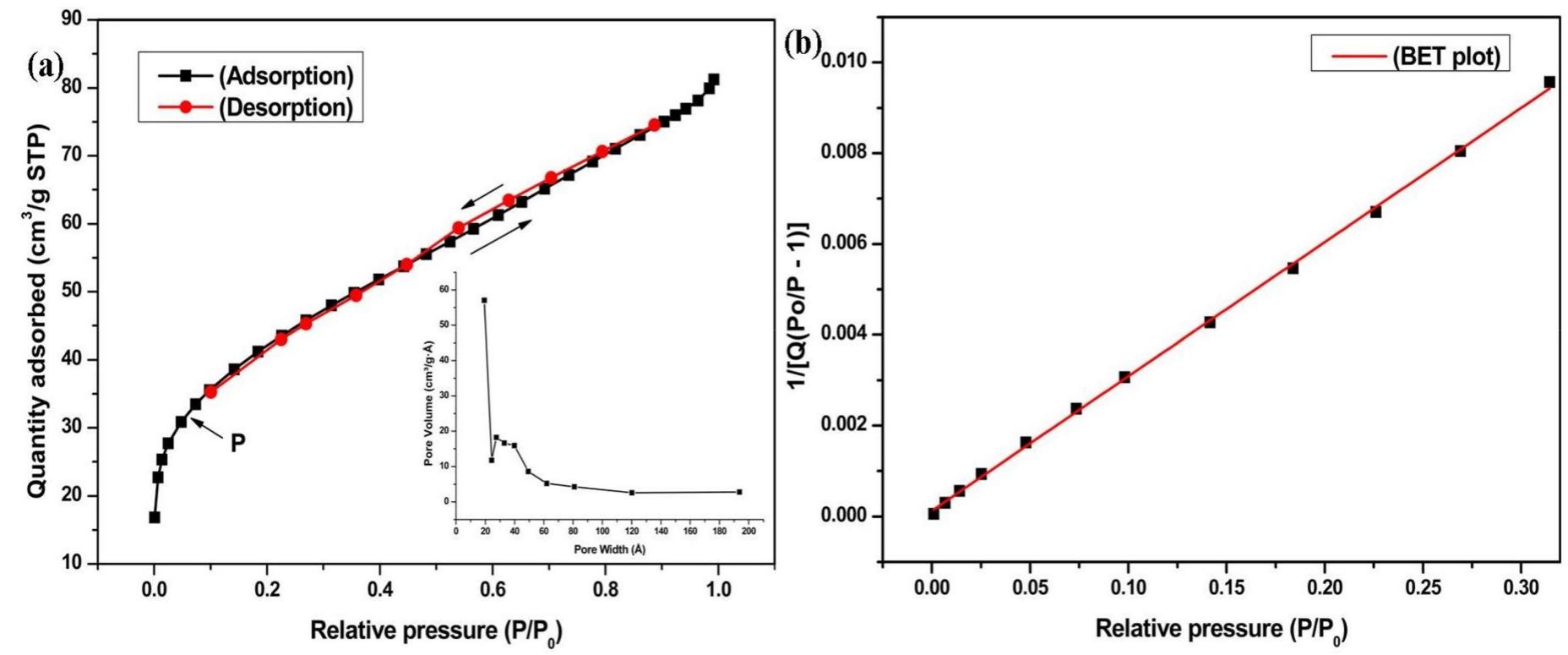 (a) isotherm plot with inset pore size distribution plot and