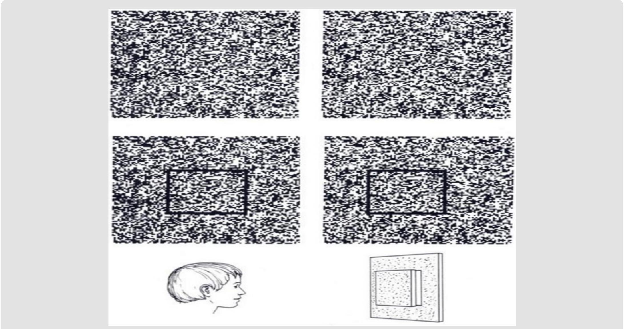 Julesz random-dot stereogram [26]. eye, they look like