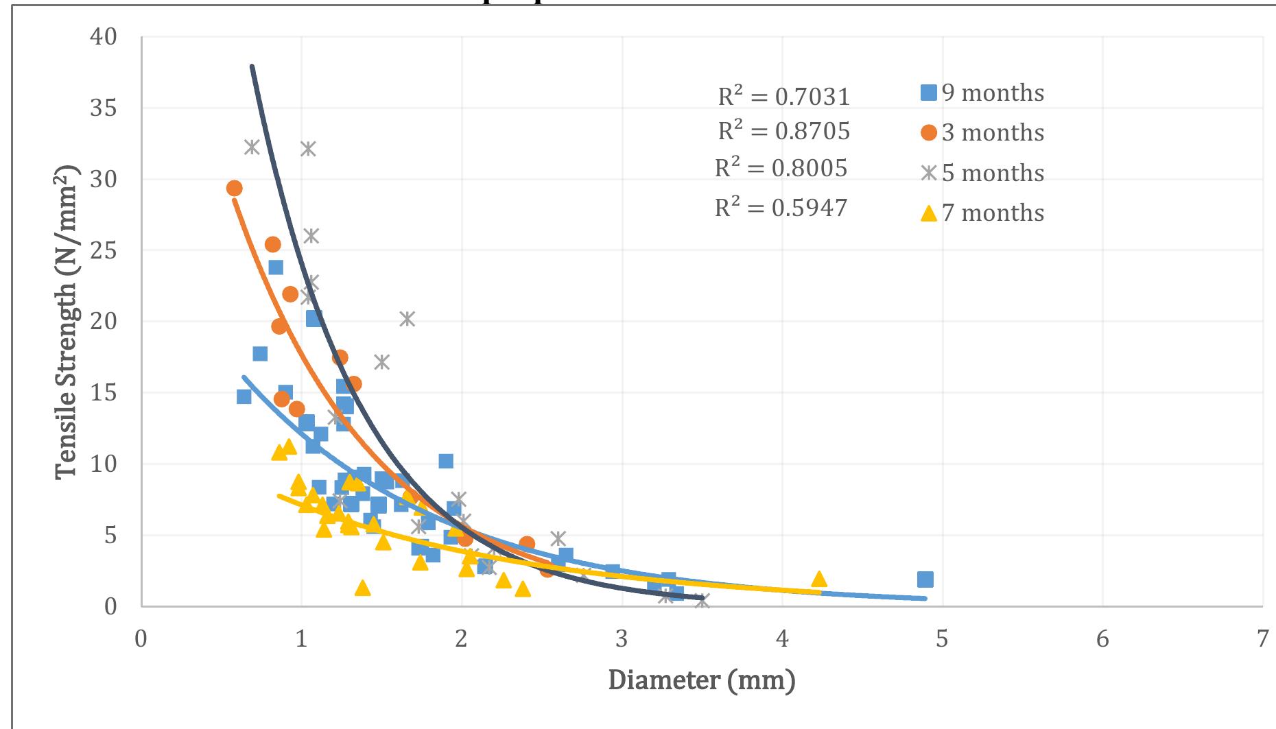 Variation of tensile strength of eugenia oleina and root