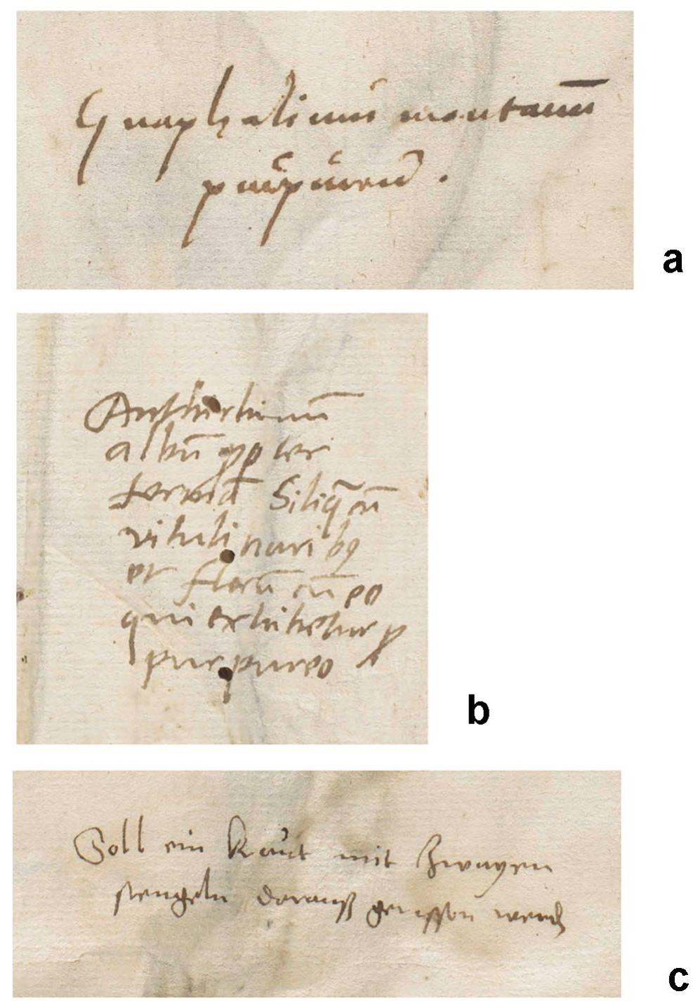 Examples of handwritings from the three book herbaria: leon-