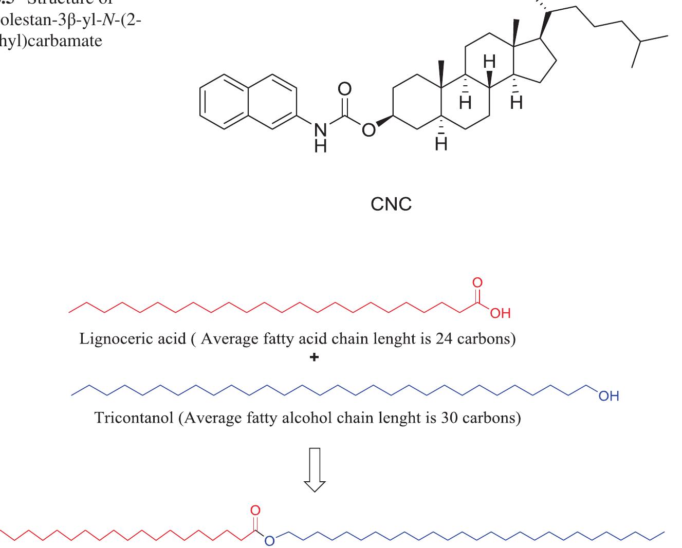 Figure 7 - from State of the Art and New Perspectives in