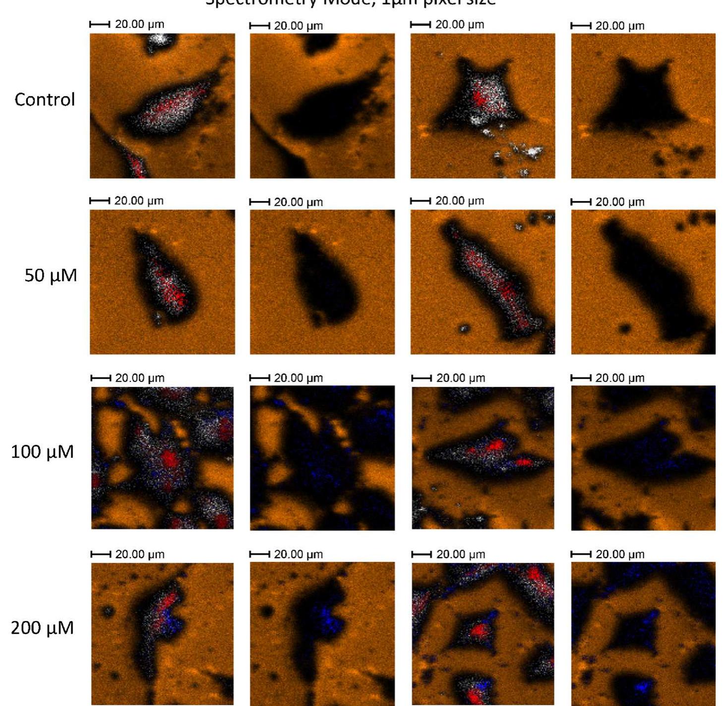 Typical 2d-tof-sims chemical maps of a-172 cells as a