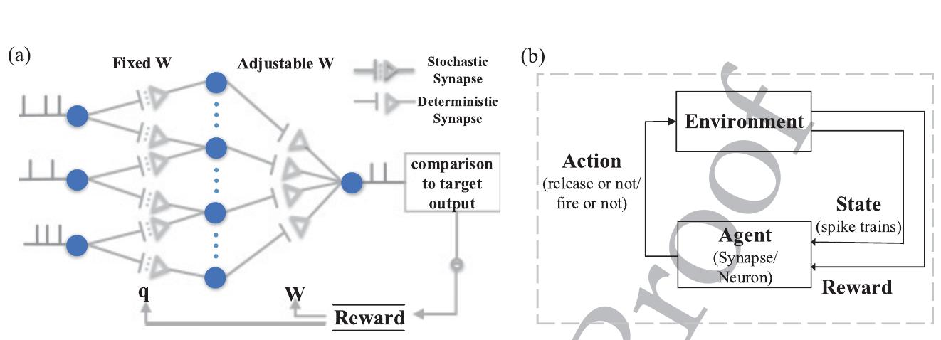 Figure 1 - from Reinforcement Learning in Spiking Neural