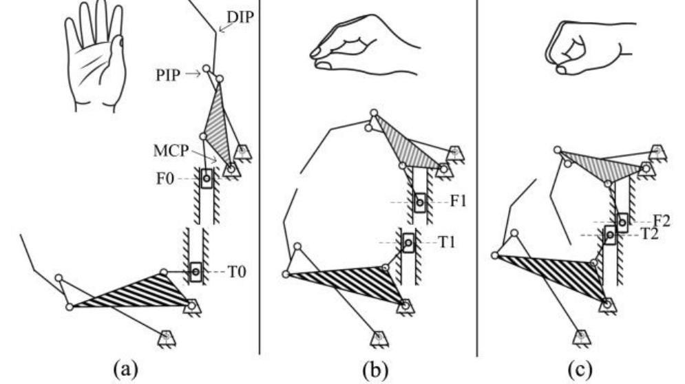 Kinematic diagram of fingers and thumb mechanism. (a) open