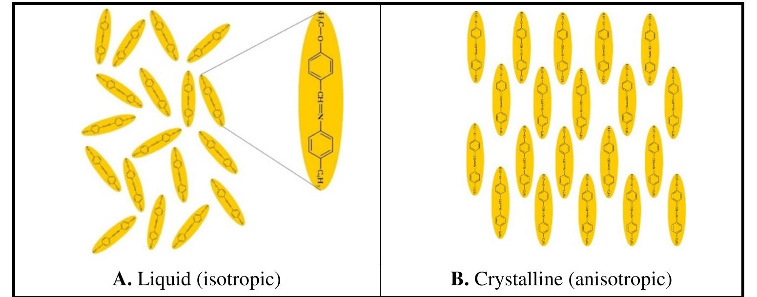 Diagram showing the arrangement of mesogen molecules within