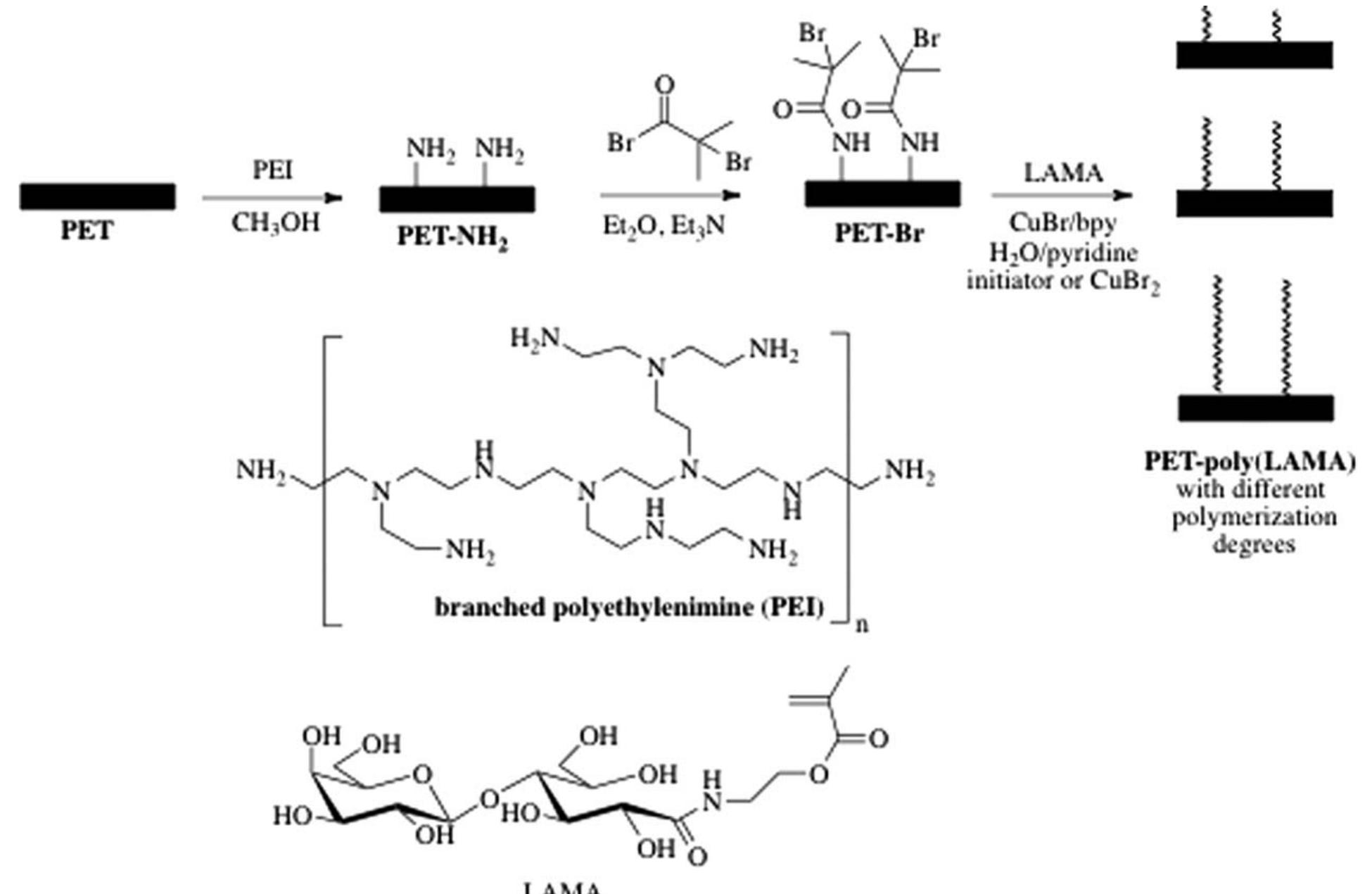 Schematic representation for the “grafting-from”