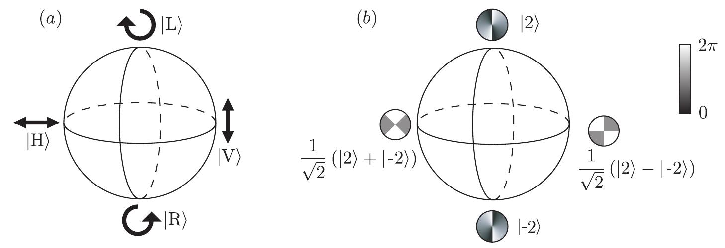 Pdf Orbital Angular Momentum Of Light And The Transformation Of Laguerre Gaussian Laser Modes