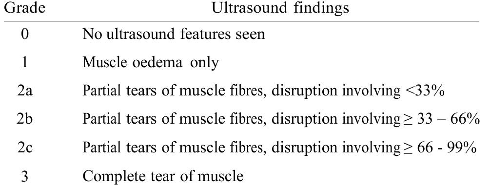 Grading of muscle strain injuries on ultrasound
