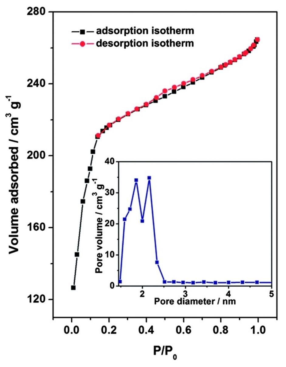 Nitrogen adsorption-desorption isotherm of the
