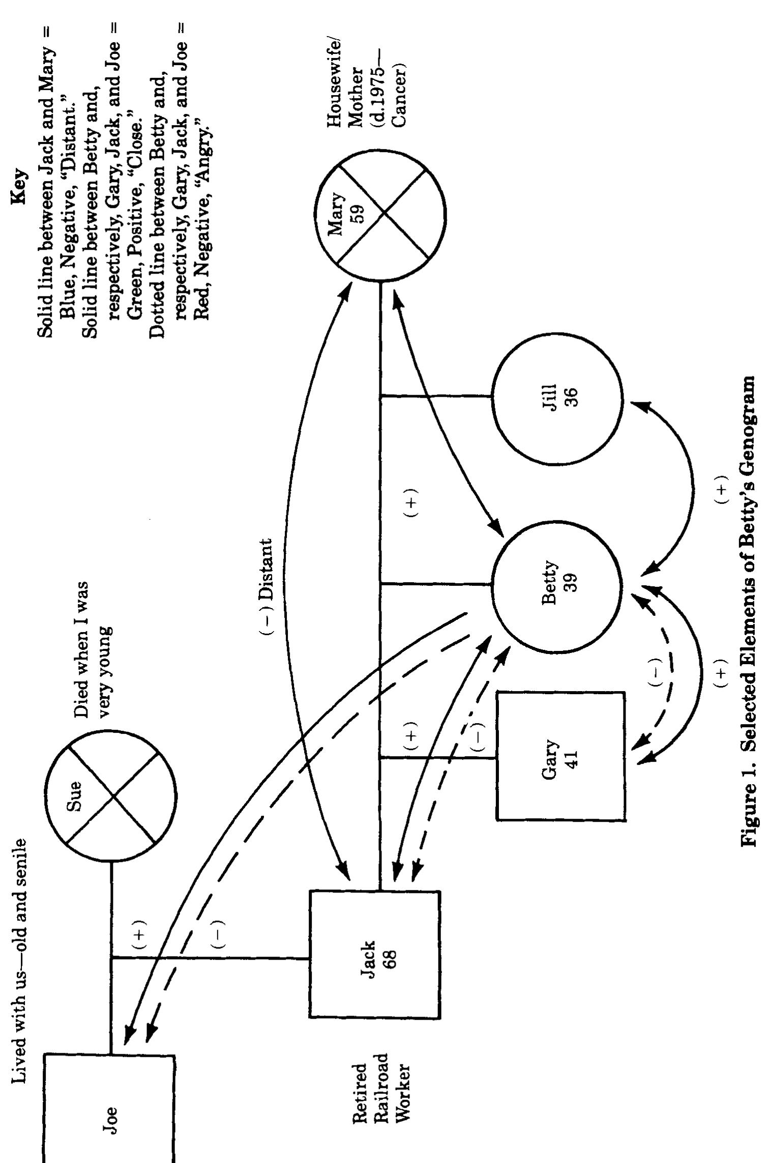 Figure 1 - The Sexual Genogram